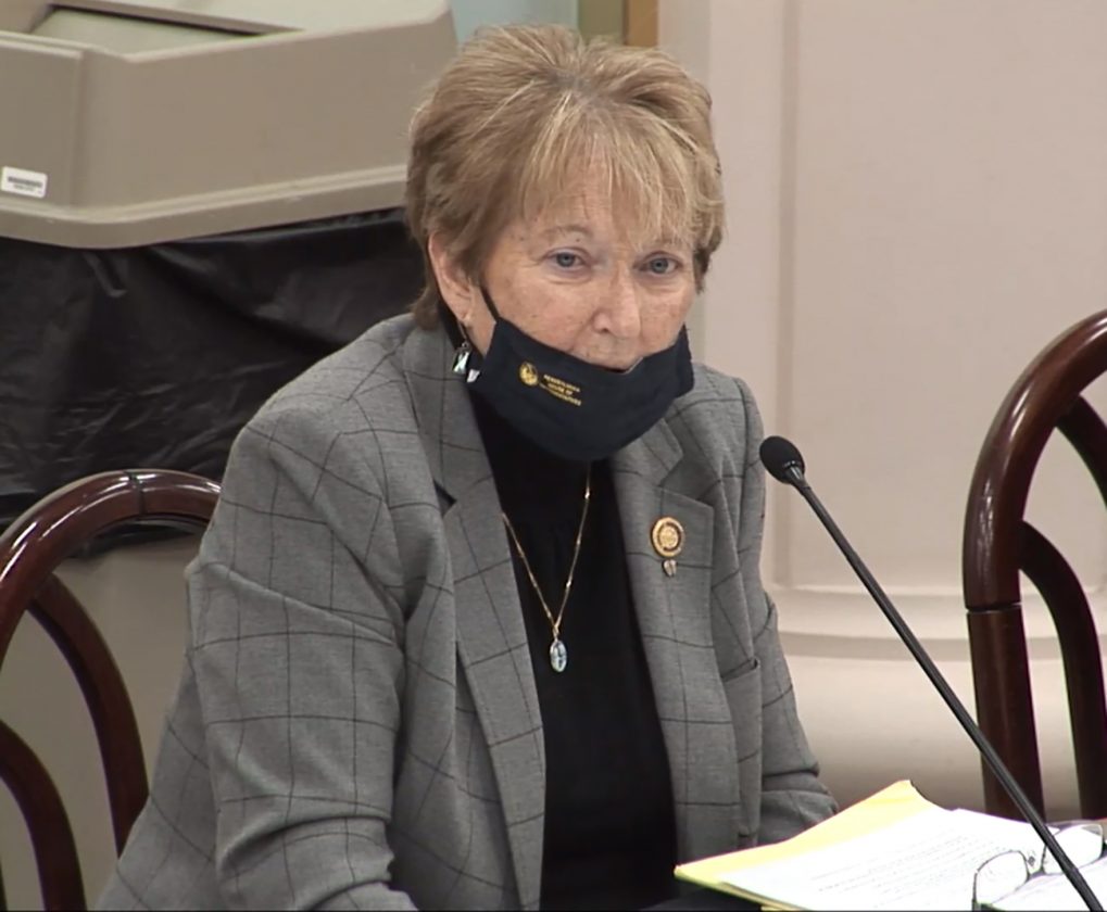 Panel hears from hospital CEO on vaccine | News, Sports, Jobs - Times ...